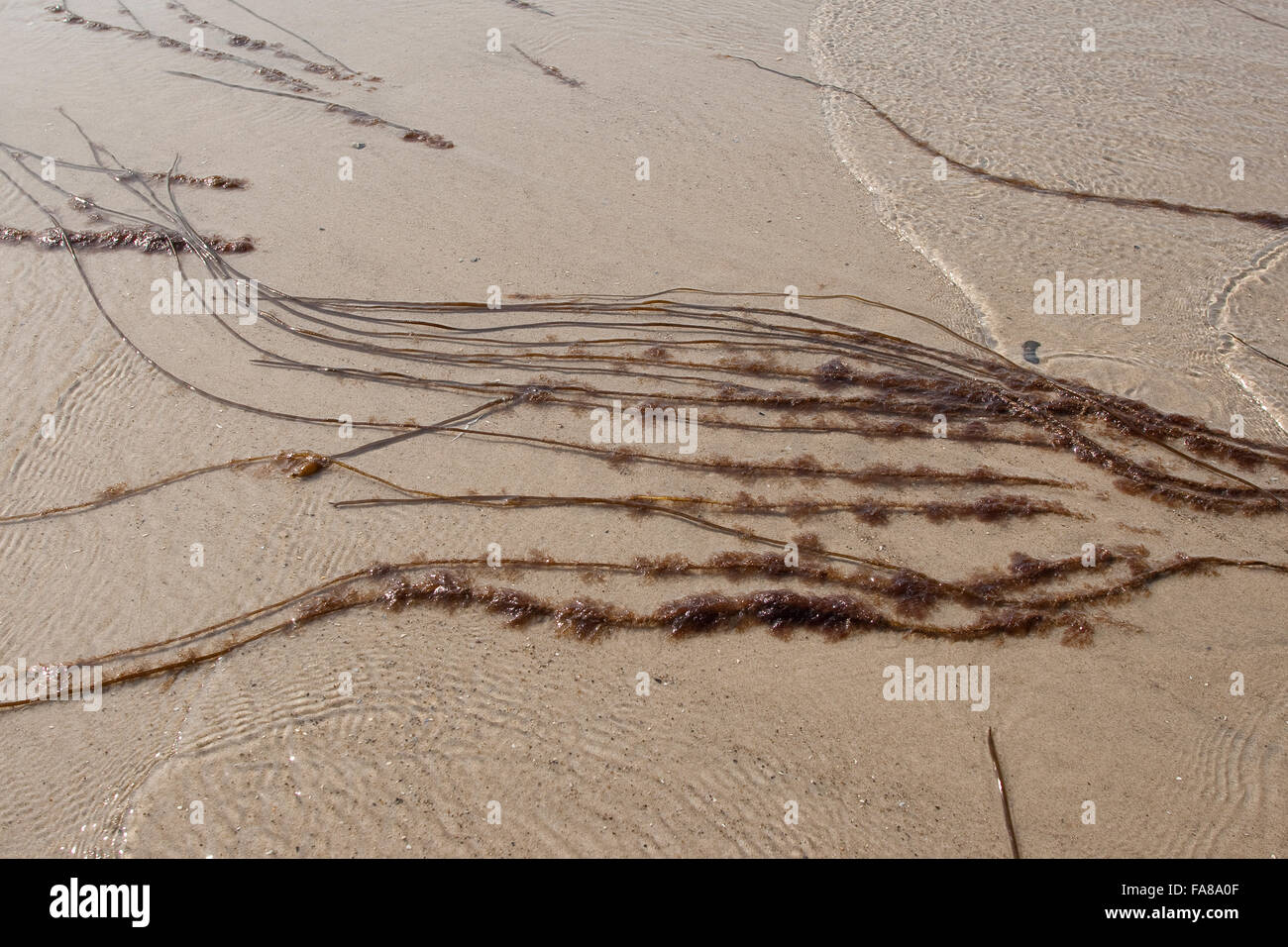 Dead mans rope hi-res stock photography and images - Alamy