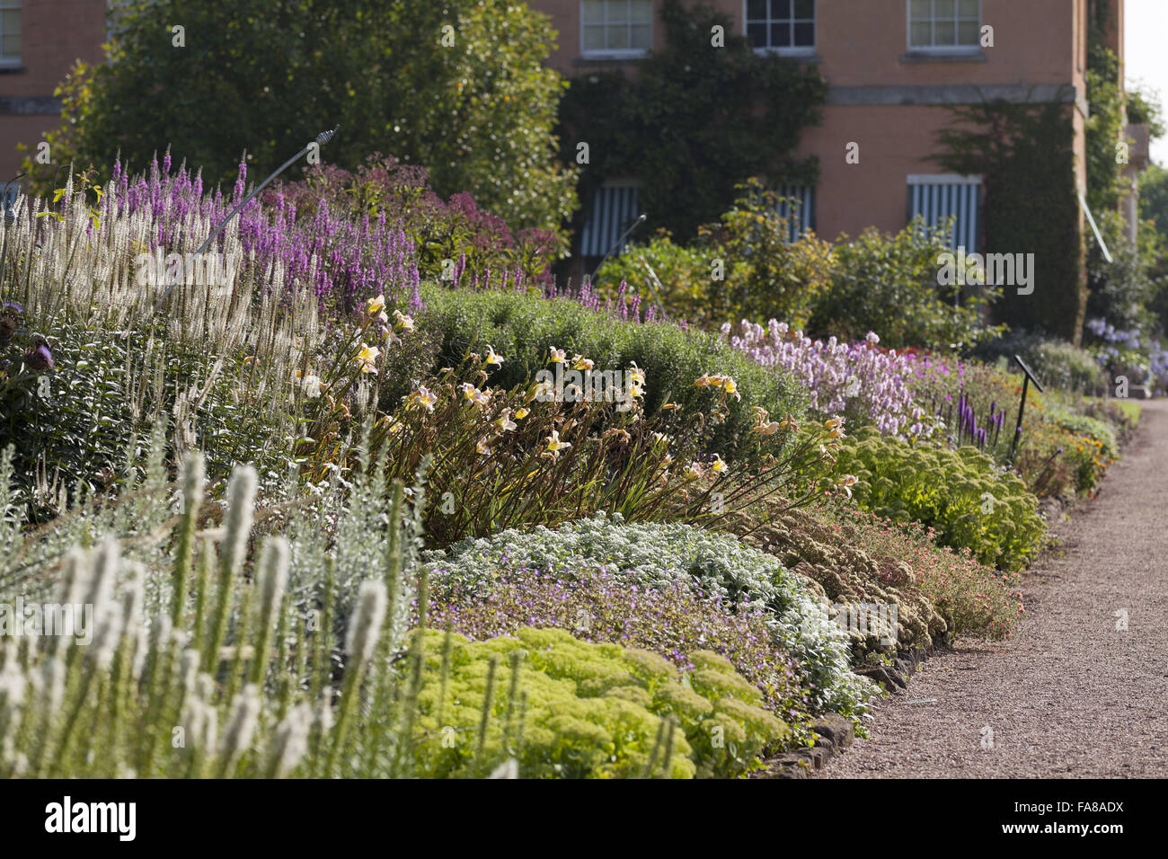 Flowers in one of the borders in the garden at Killerton, Devon, in ...