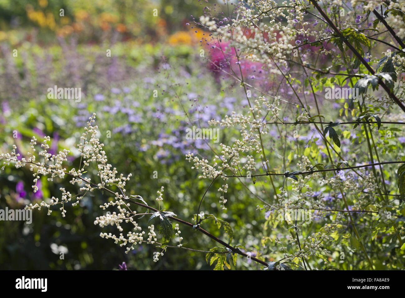 Killertongallery hi-res stock photography and images - Alamy