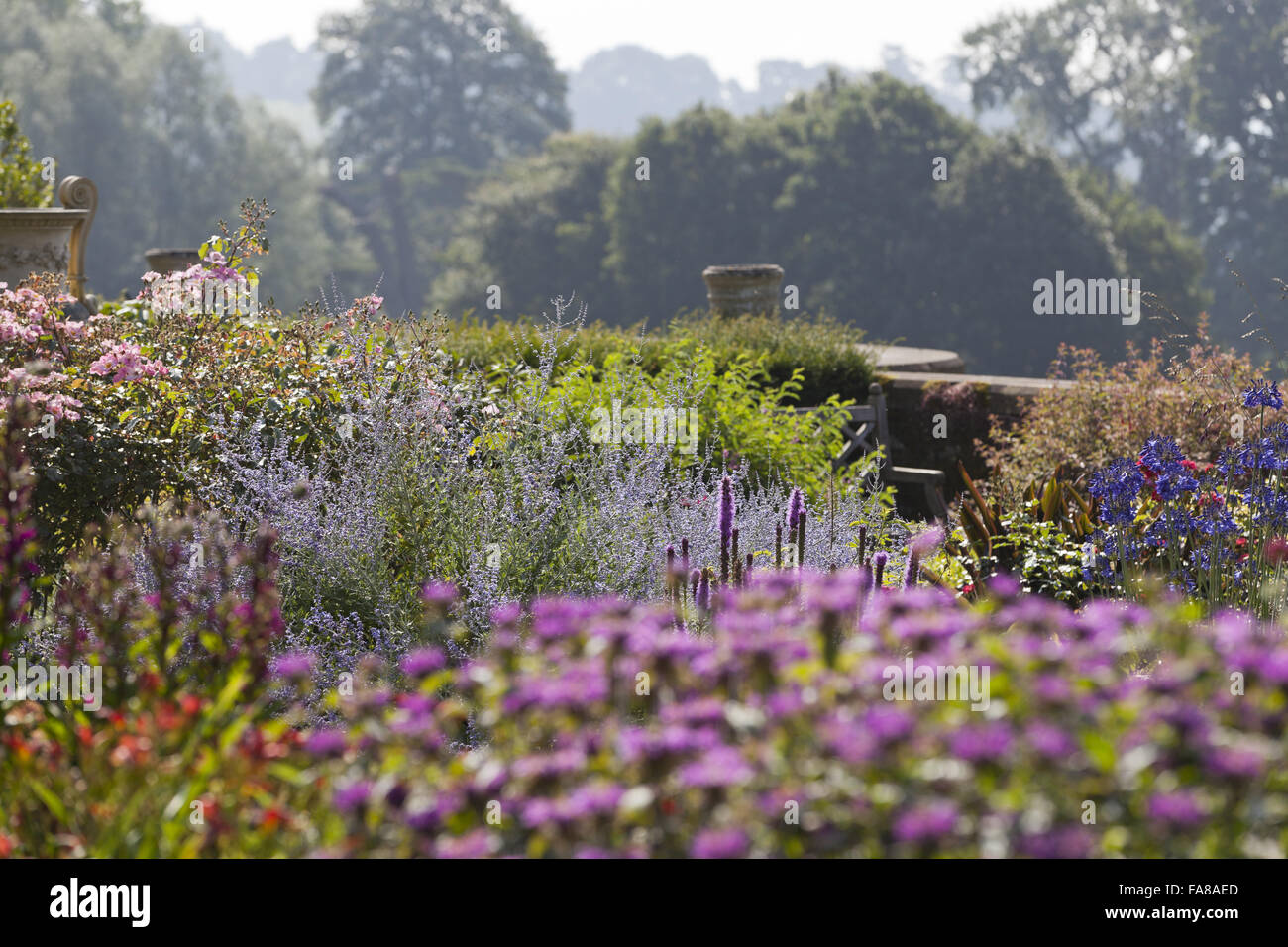 Killertongallery hi-res stock photography and images - Alamy