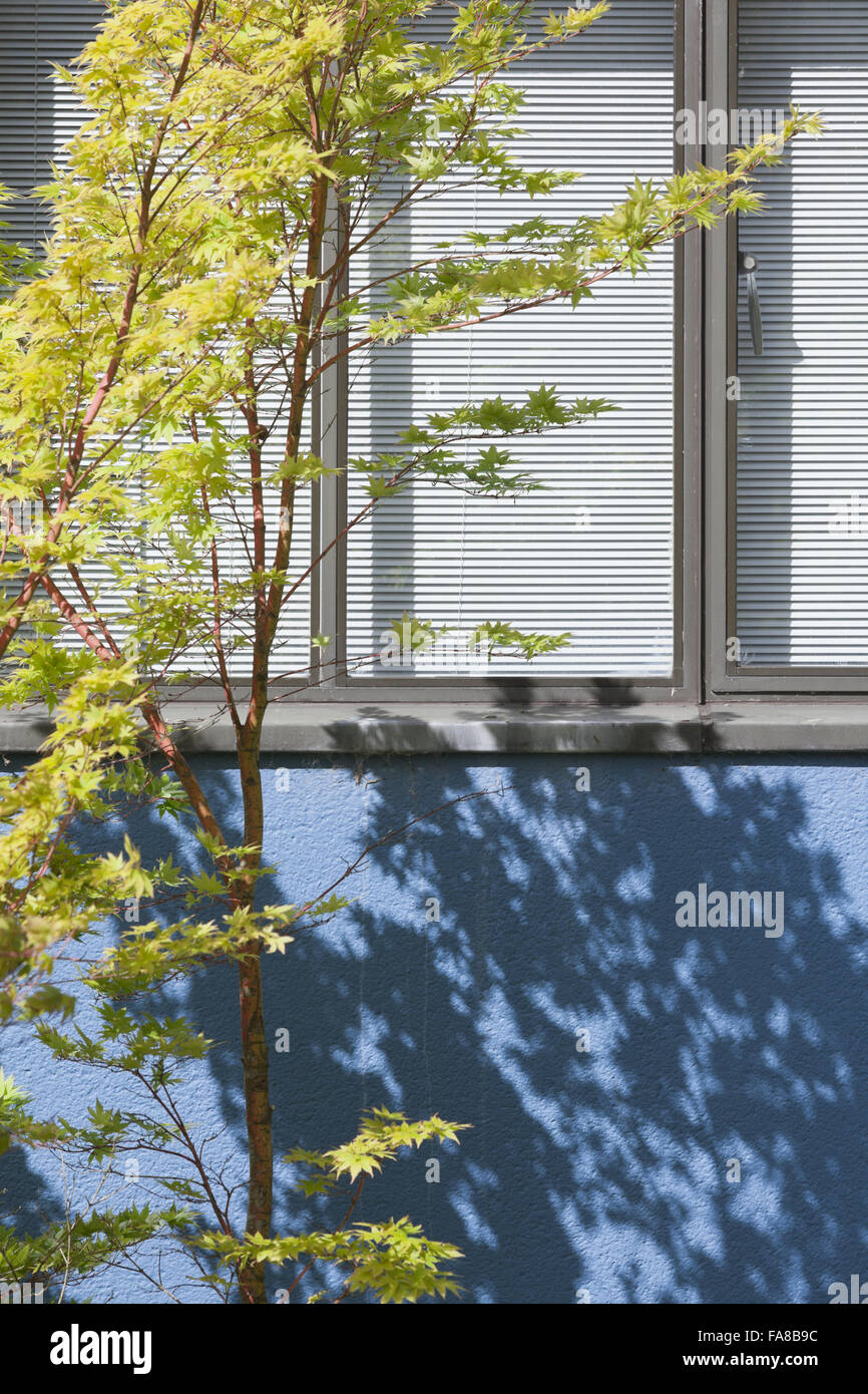 High cross house devon hi-res stock photography and images - Alamy