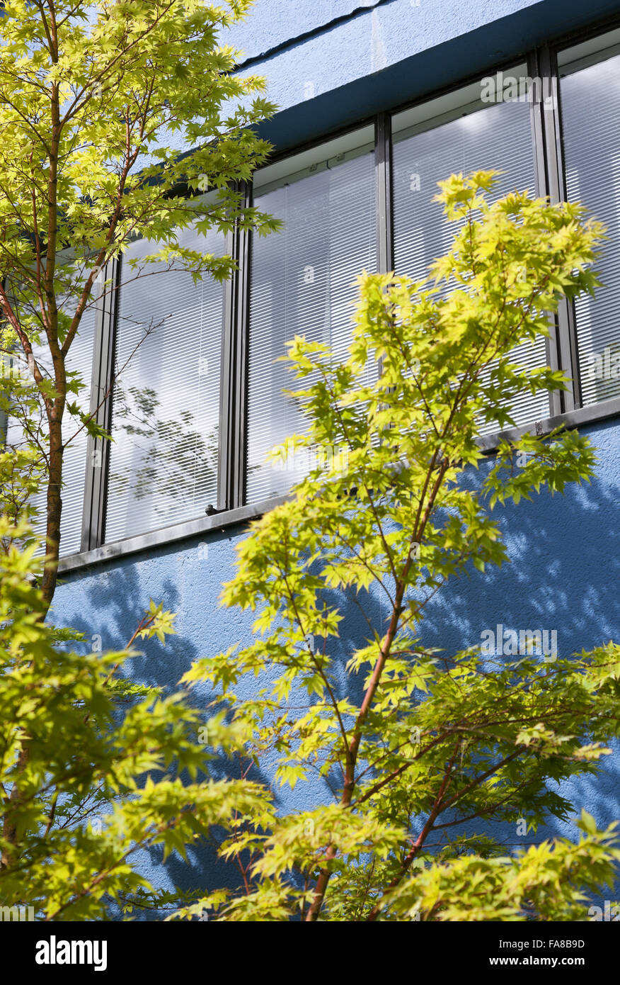 High cross house devon hi-res stock photography and images - Alamy