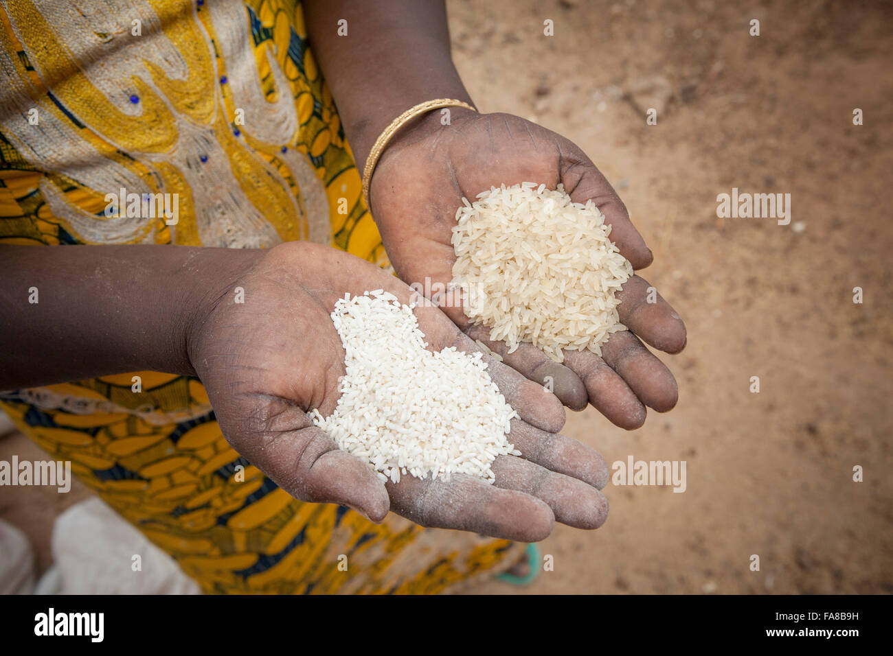 A woman displays the difference between parboiled (right) and standard ...