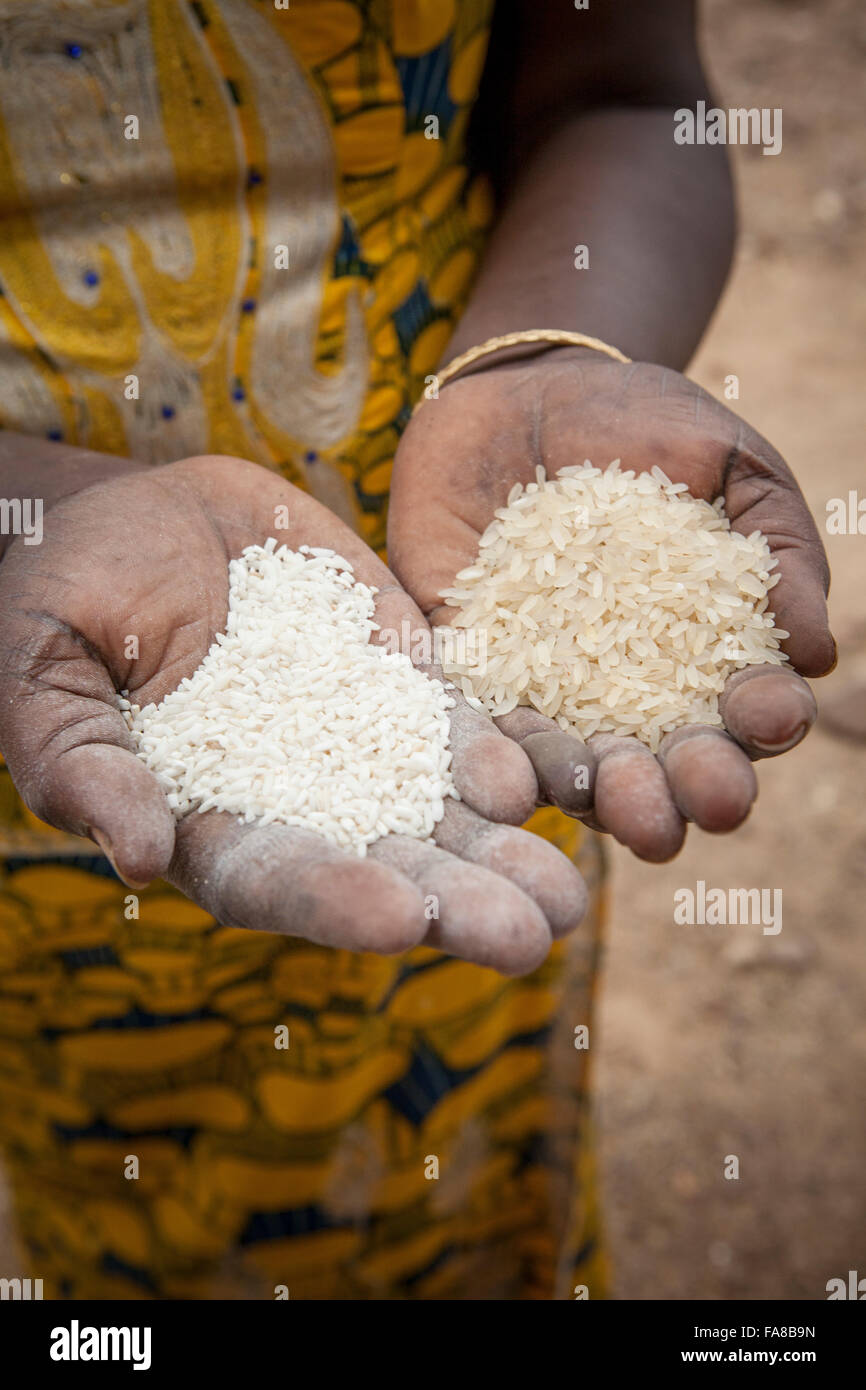 A woman displays the difference between parboiled (right) and standard ...