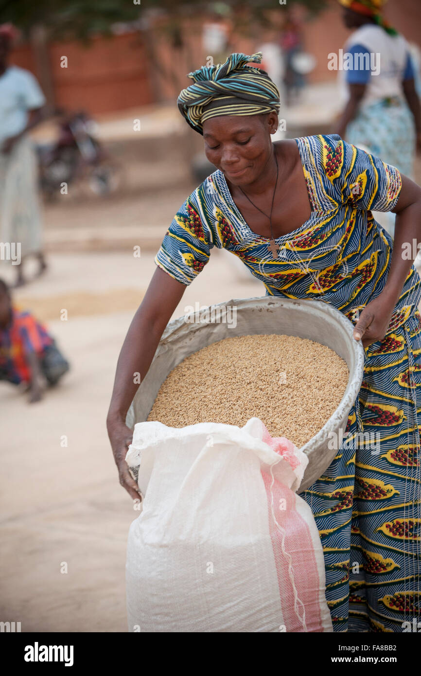 Rice is dried before being sold at a women's group processing center in ...