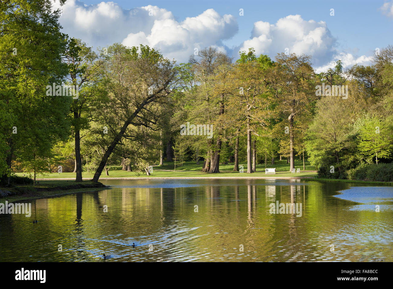 The lake at Claremont Landscape Garden, Surrey. The lake as planned by ...