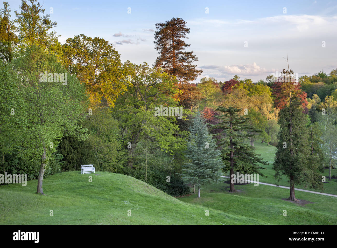 View from top of the grass Amphitheatre at Claremont Landscape Garden ...