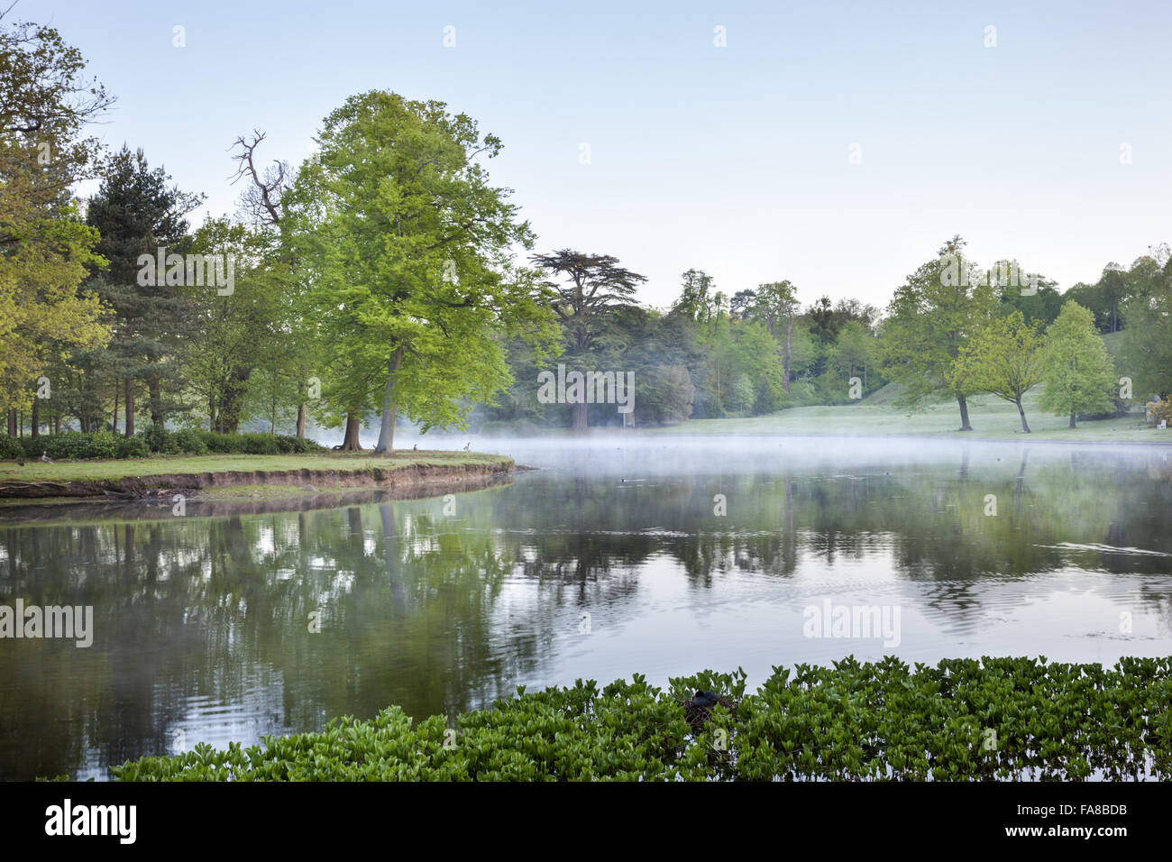 The lake and island at Claremont Landscape Garden, Surrey. The lake as ...