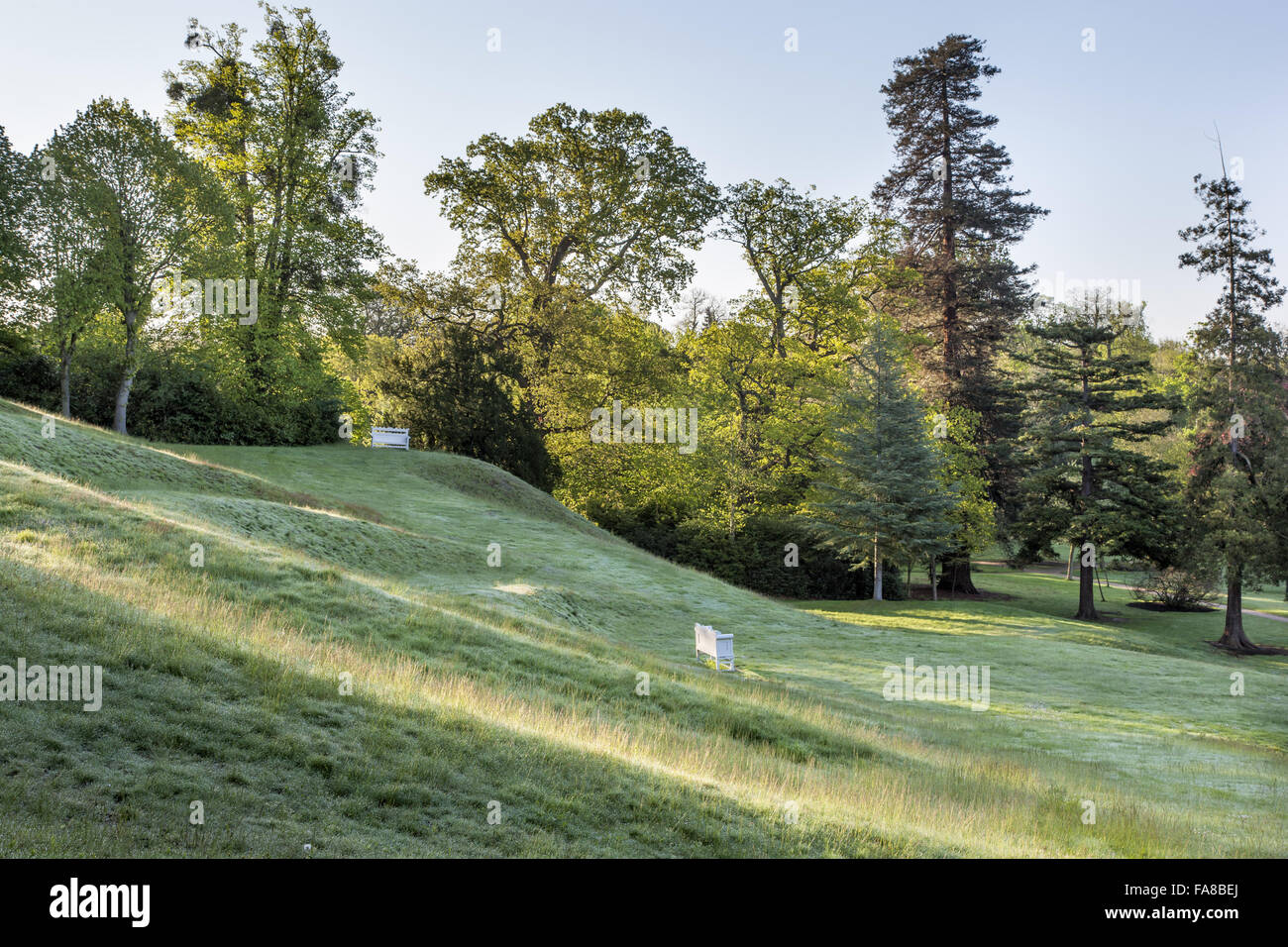 The grass Amphitheatre at Claremont Landscape Garden, Surrey. The ...