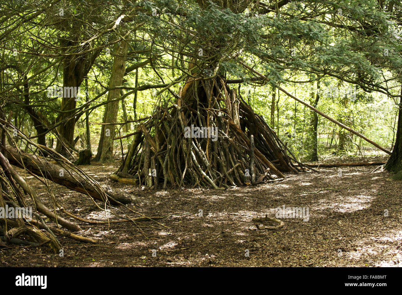 A den built on the Natural Play Trail at Box Hill, Surrey Stock Photo ...