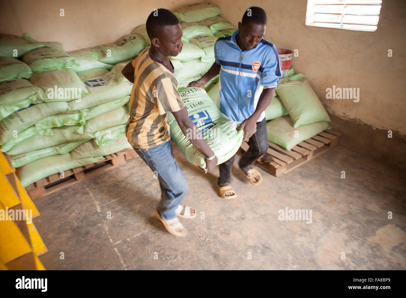 Small farmers receive sacks of seed and fertilizer at a distribution in ...