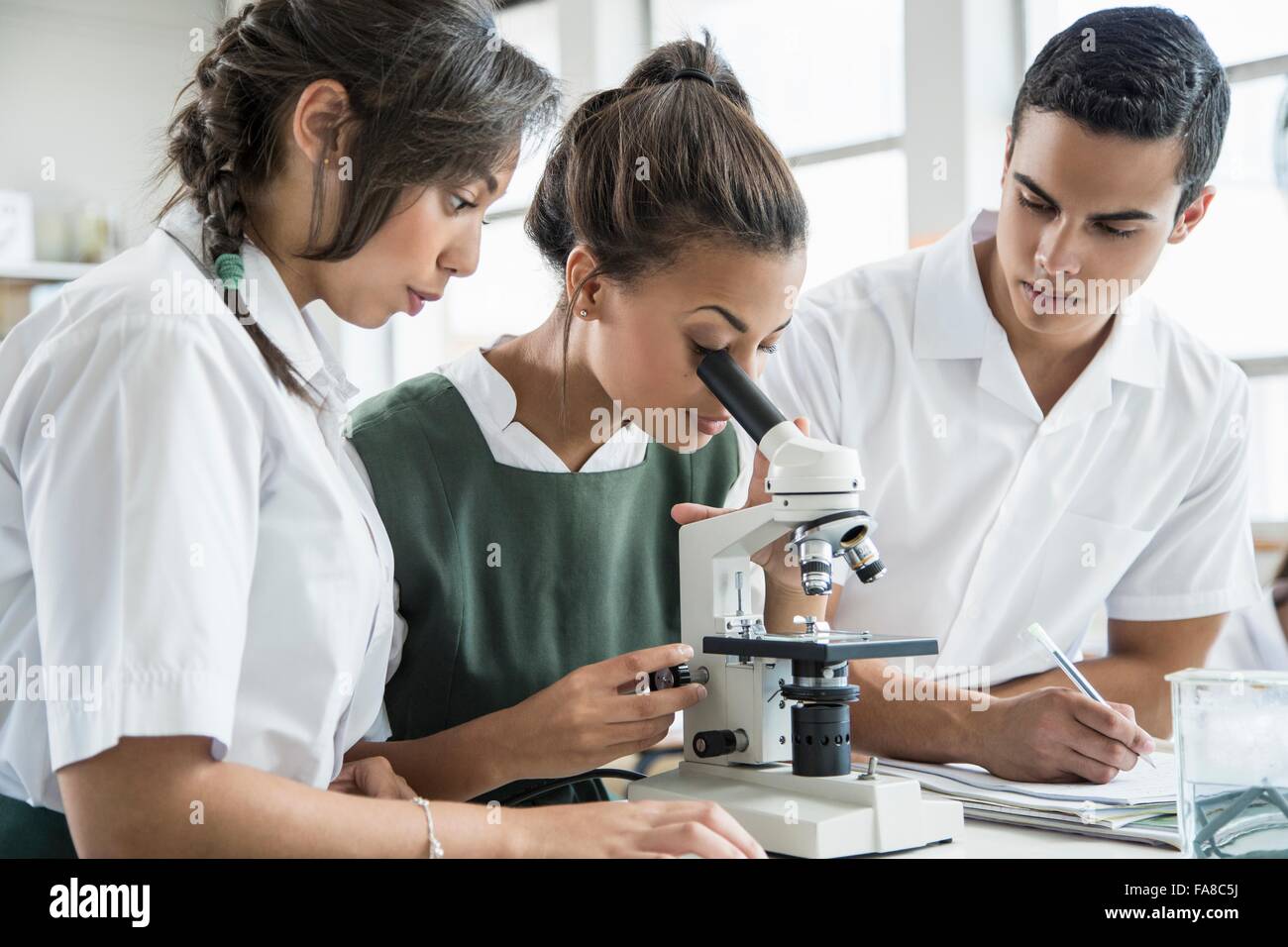 Students using microscope in lab Stock Photo - Alamy