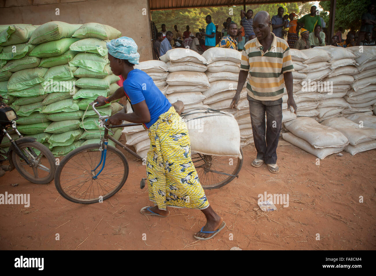 Small farmers receive sacks of seed and fertilizer at a distribution in ...
