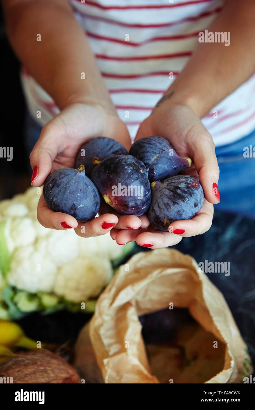 Womans hands holding five fresh figs Stock Photo - Alamy