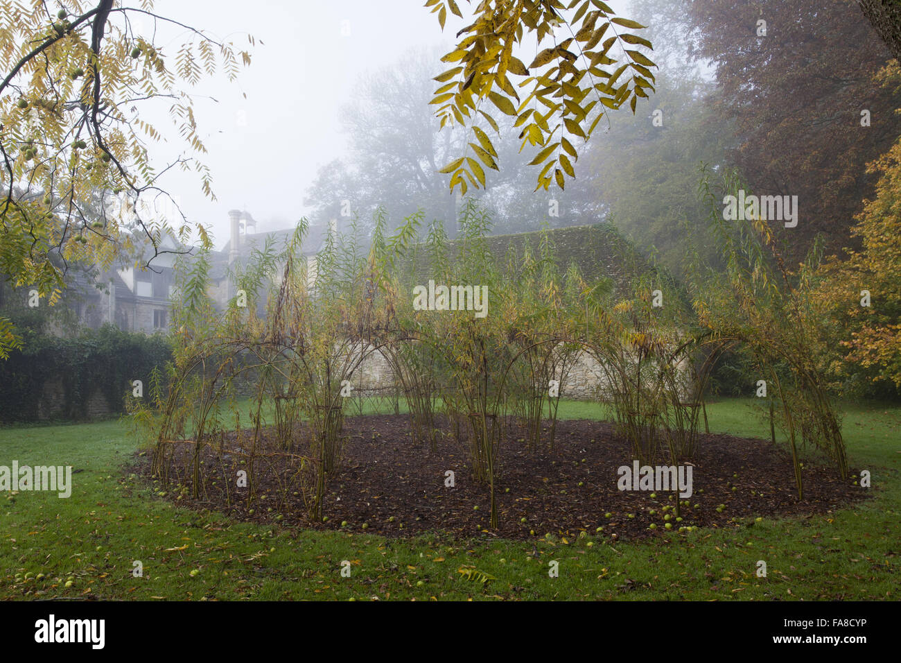Trained willow tree hi-res stock photography and images - Alamy