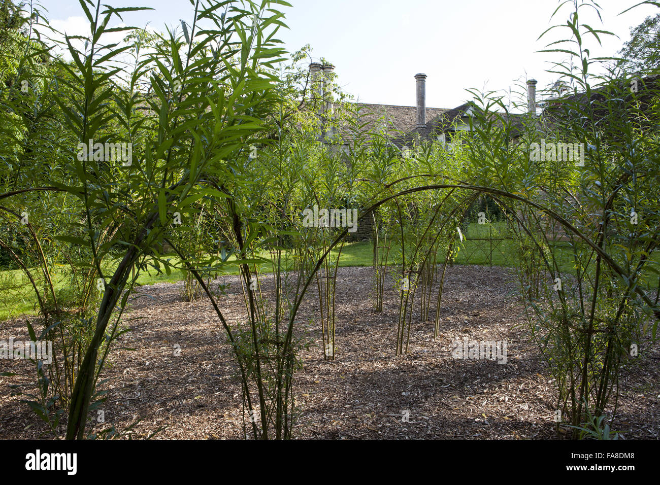Woven willow arch hi-res stock photography and images - Alamy
