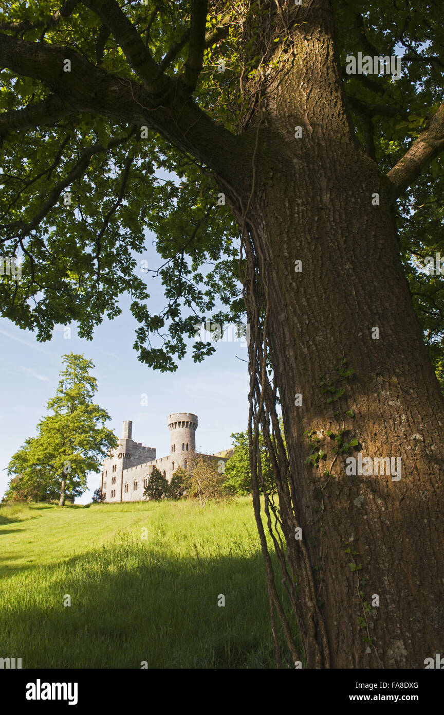 Penrhyngallery hi-res stock photography and images - Alamy