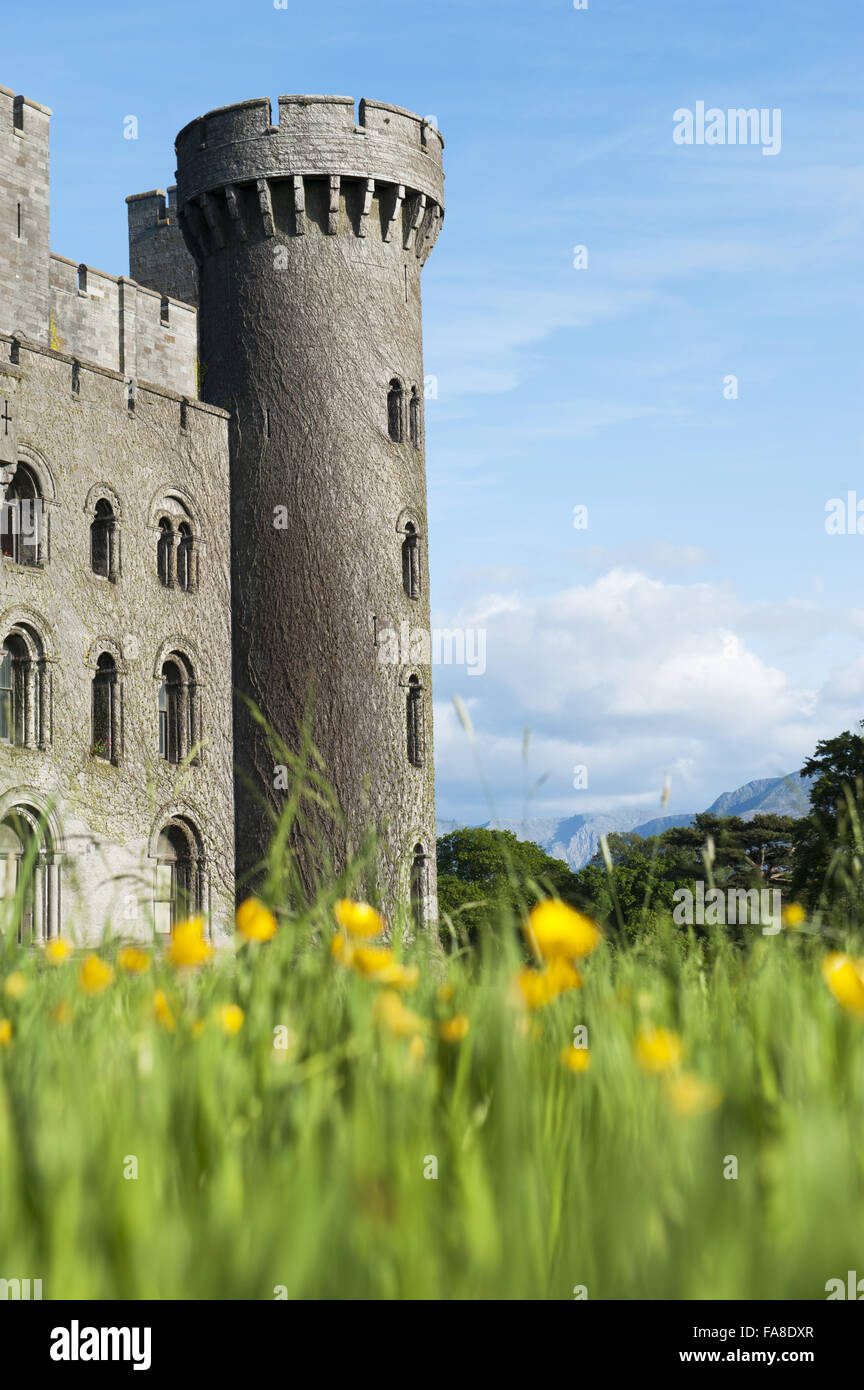 Penrhyngallery hi-res stock photography and images - Alamy