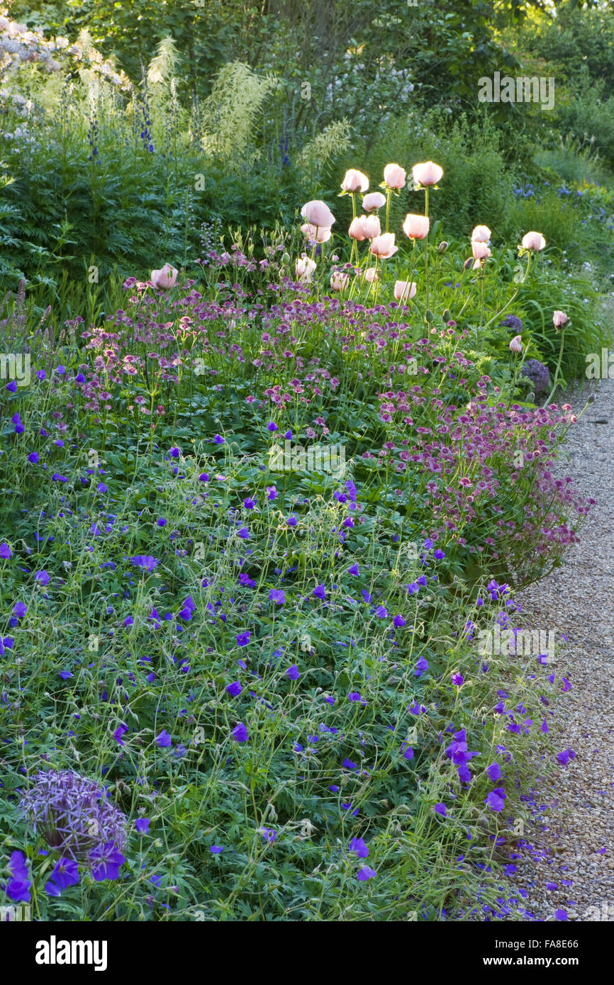 Top borders hi-res stock photography and images - Alamy