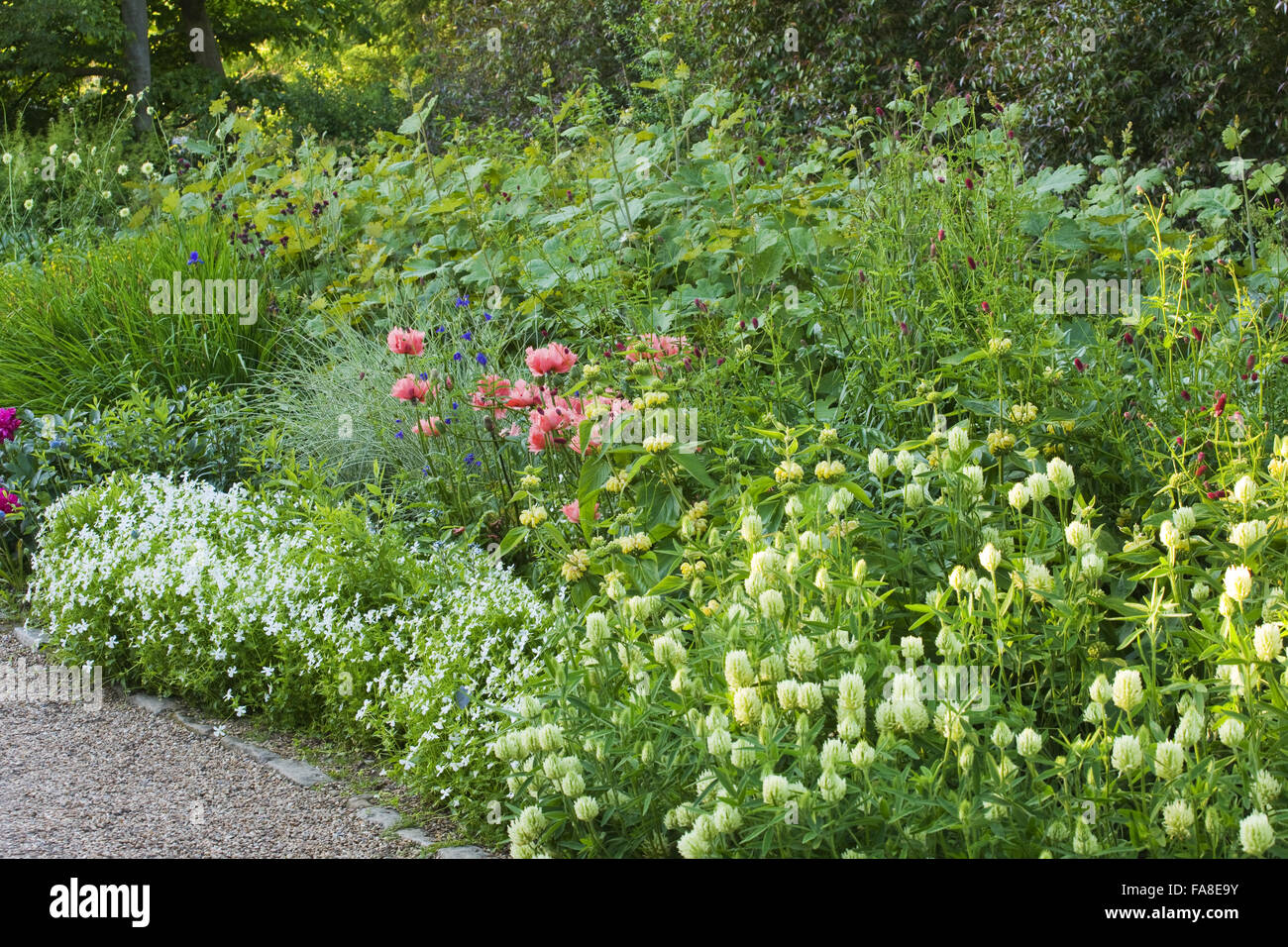 The June Borders in the Top Garden at Nymans, West Sussex Stock Photo ...