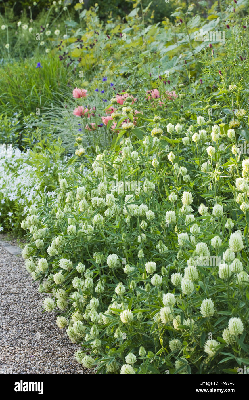 Top borders hi-res stock photography and images - Alamy