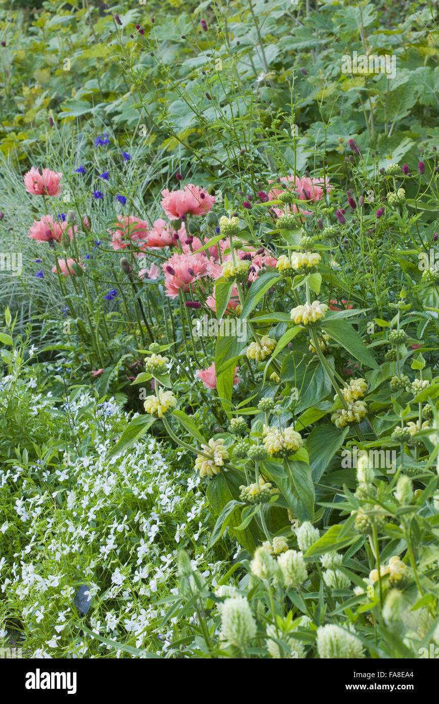 Top borders hi-res stock photography and images - Alamy