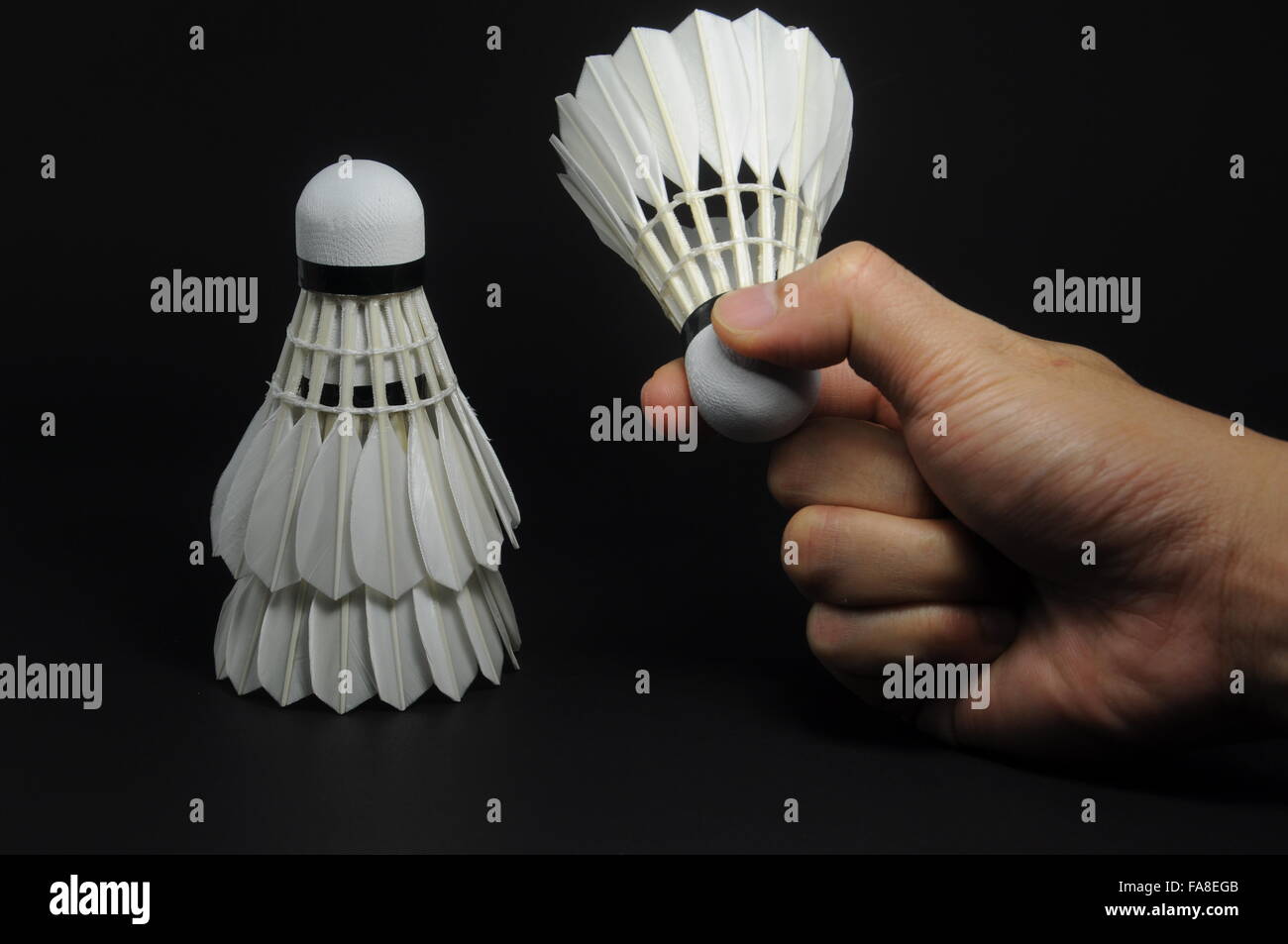 Feather shuttlecock on hand Stock Photo - Alamy
