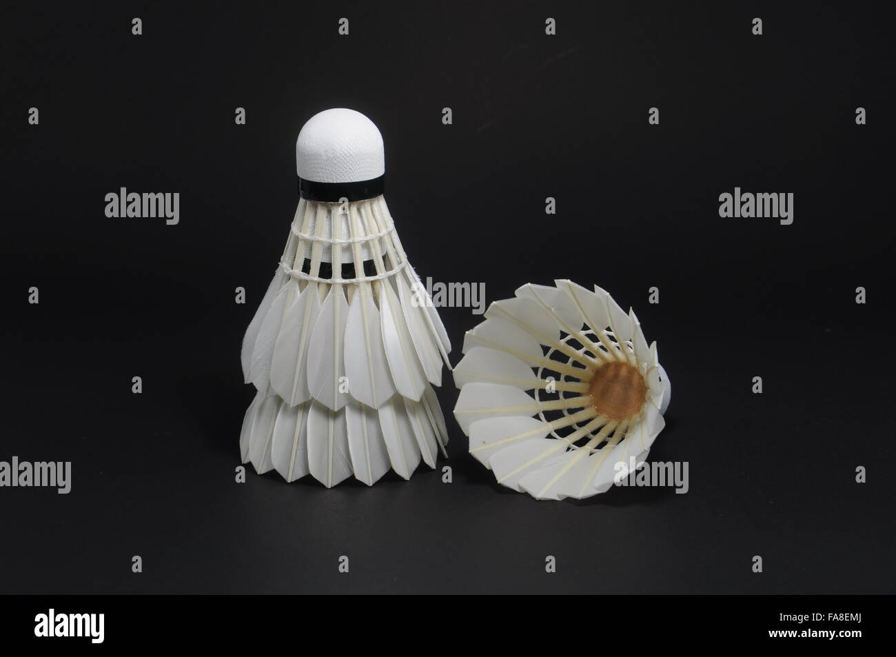 Feather shuttlecock isolated on black background Stock Photo - Alamy