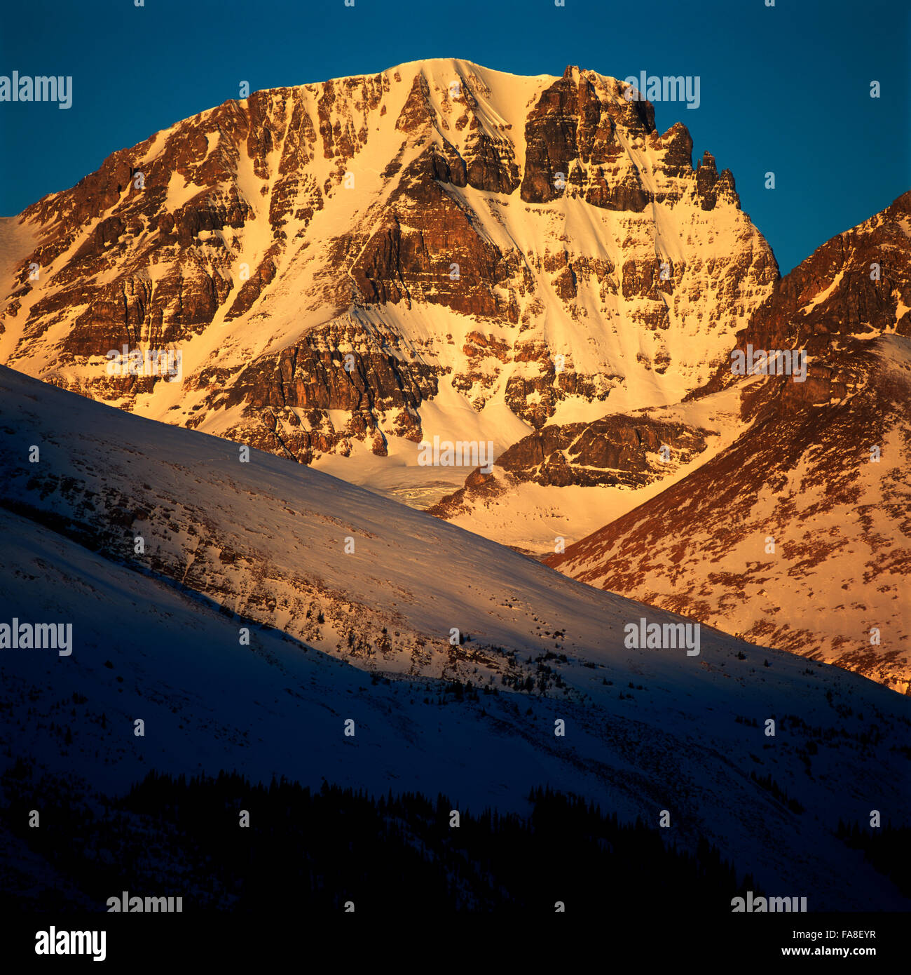 Mountain Range in Jasper National Park Stock Photo - Alamy
