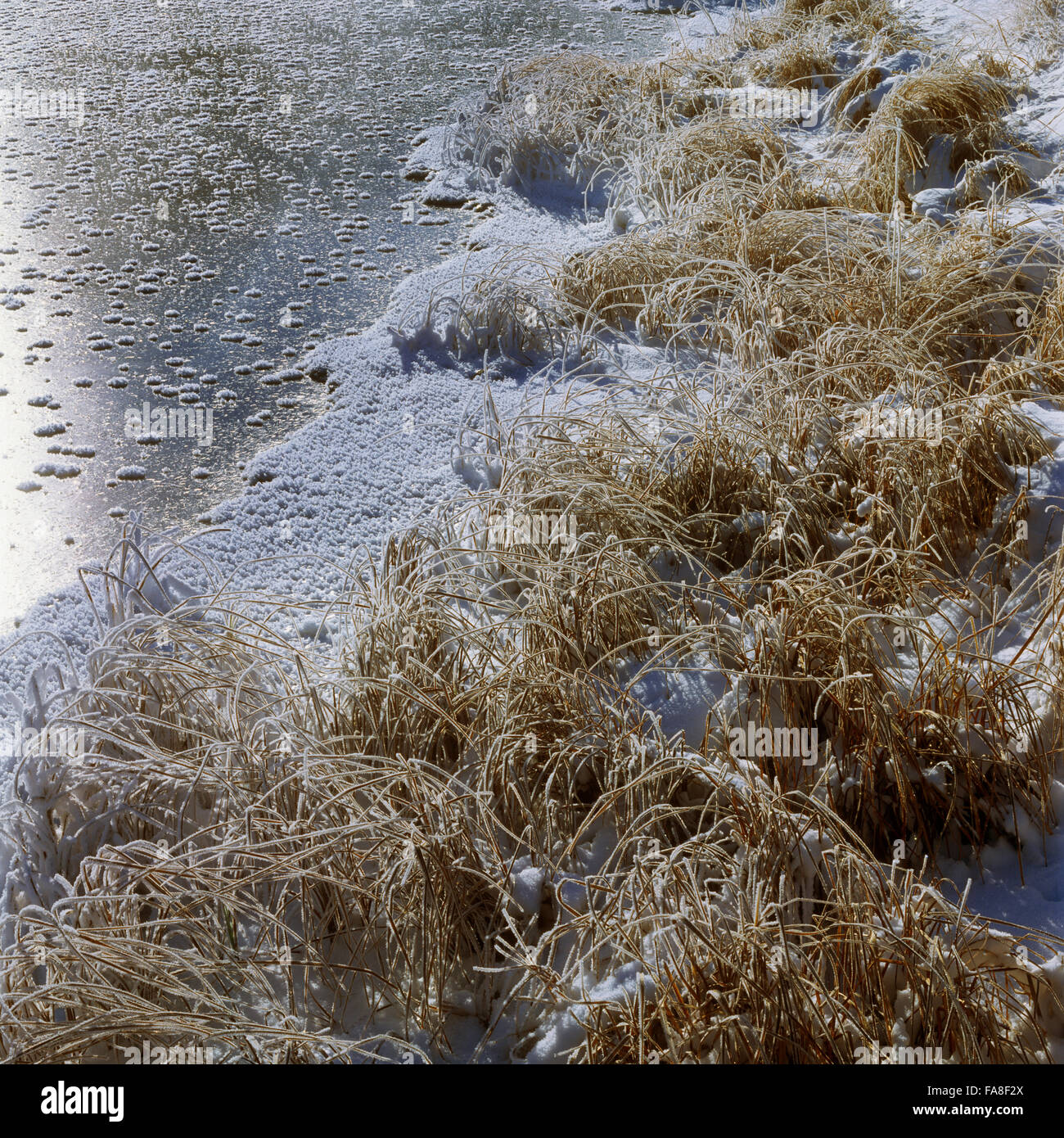 Frozen lake in winter in Jasper National Park Stock Photo - Alamy