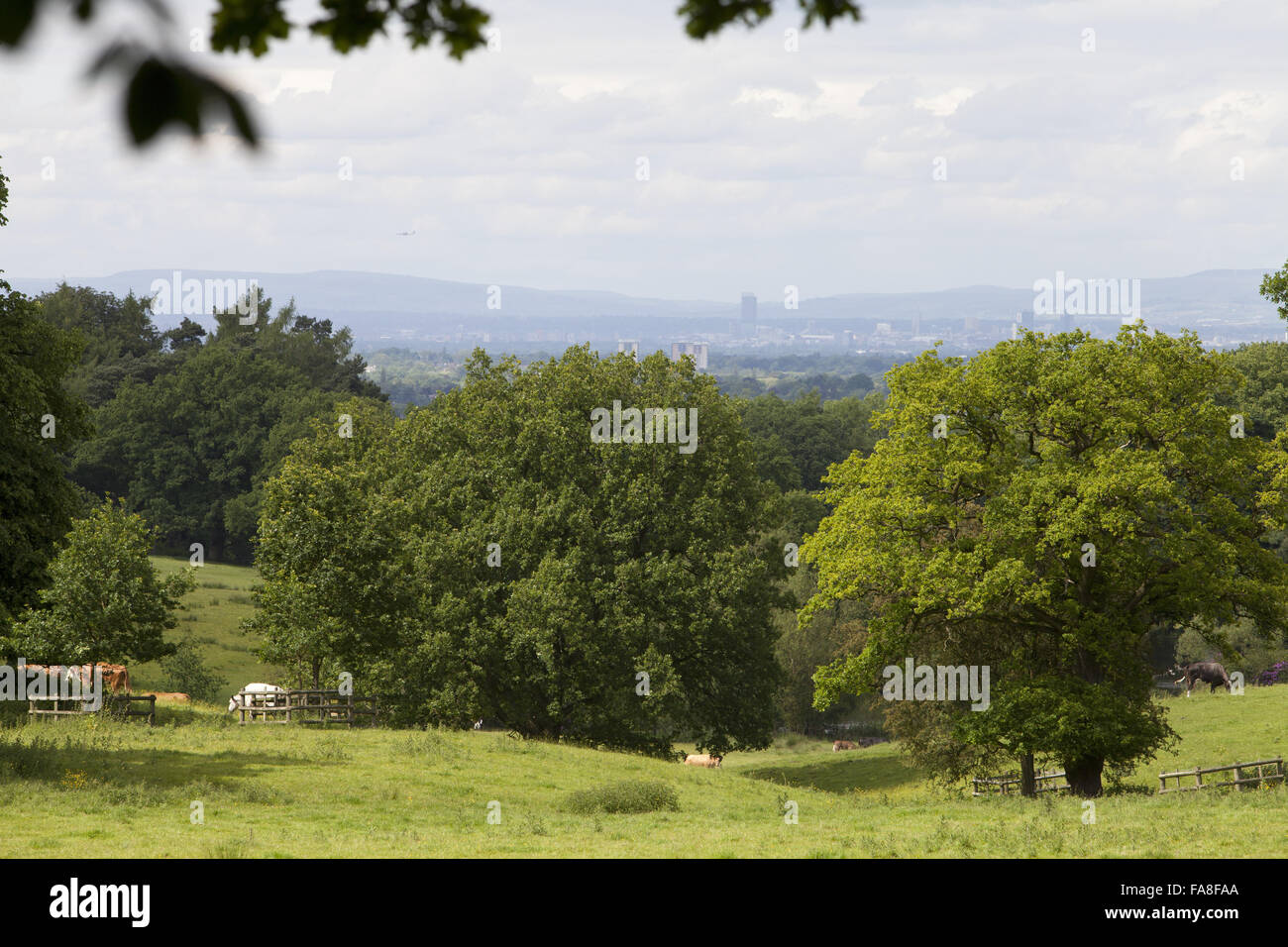 View across North Park towards Manchester city centre from Hare Hill ...