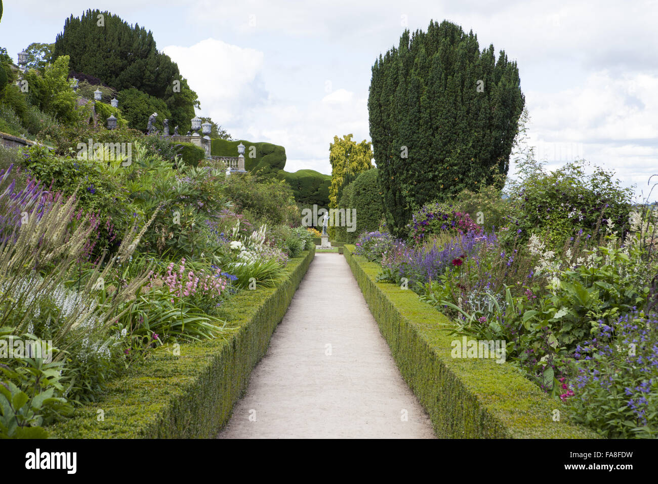 Borders on the Orangery Terrace in the garden in July at Powis Castle ...