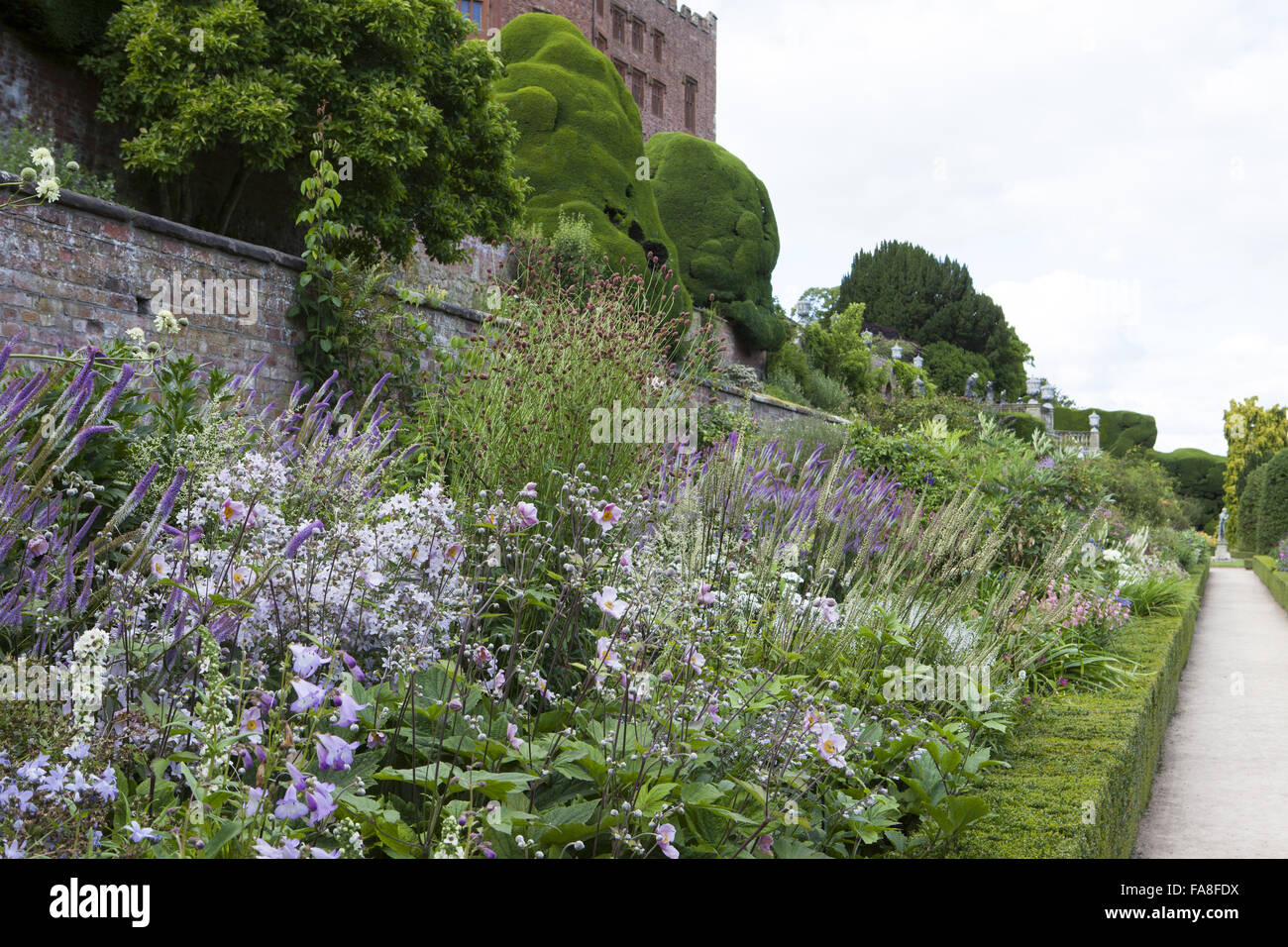 Border in cool colours in the garden in July at Powis Castle, Powys ...
