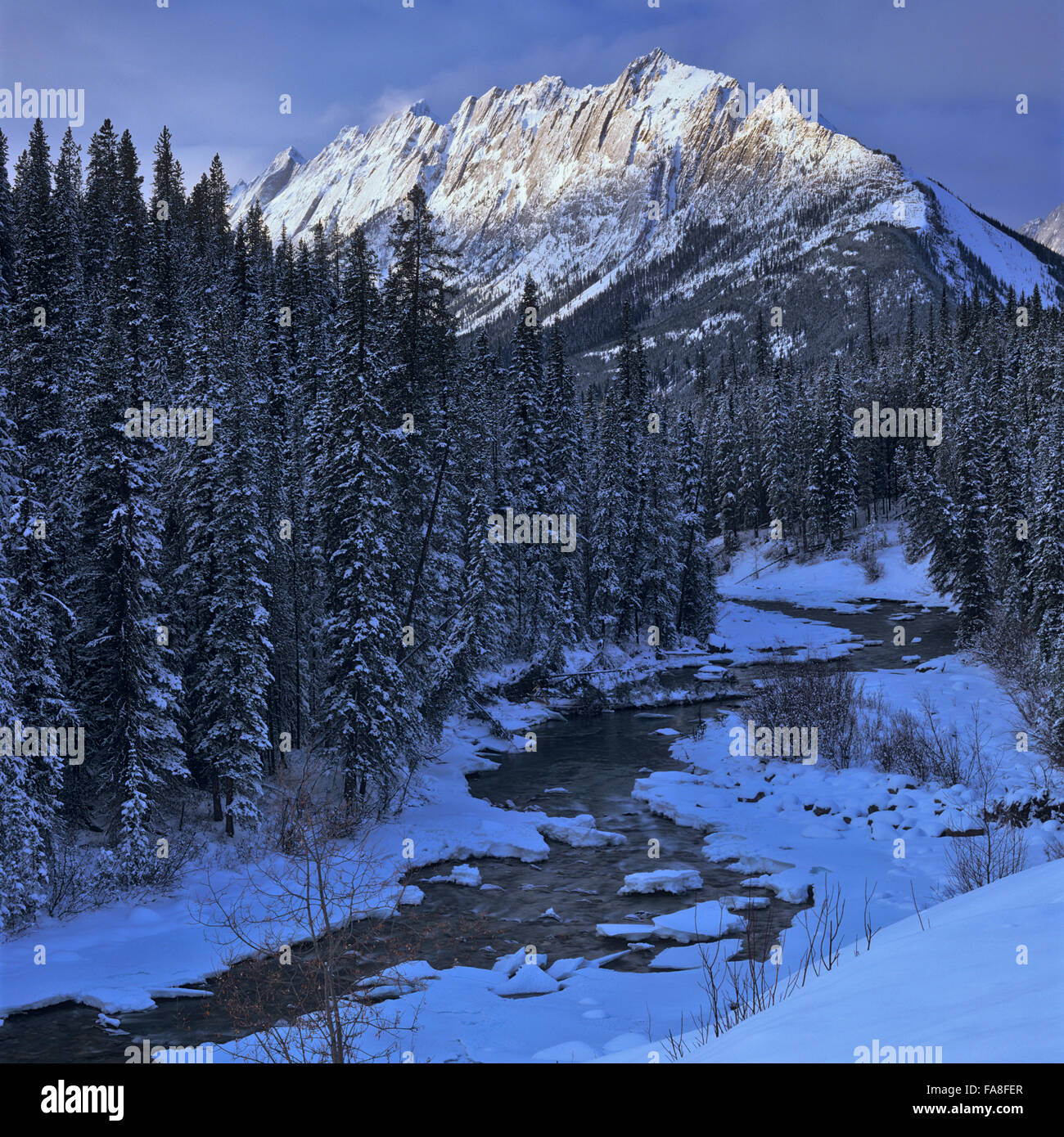 Maligne River in winter in Jasper National Park Stock Photo - Alamy