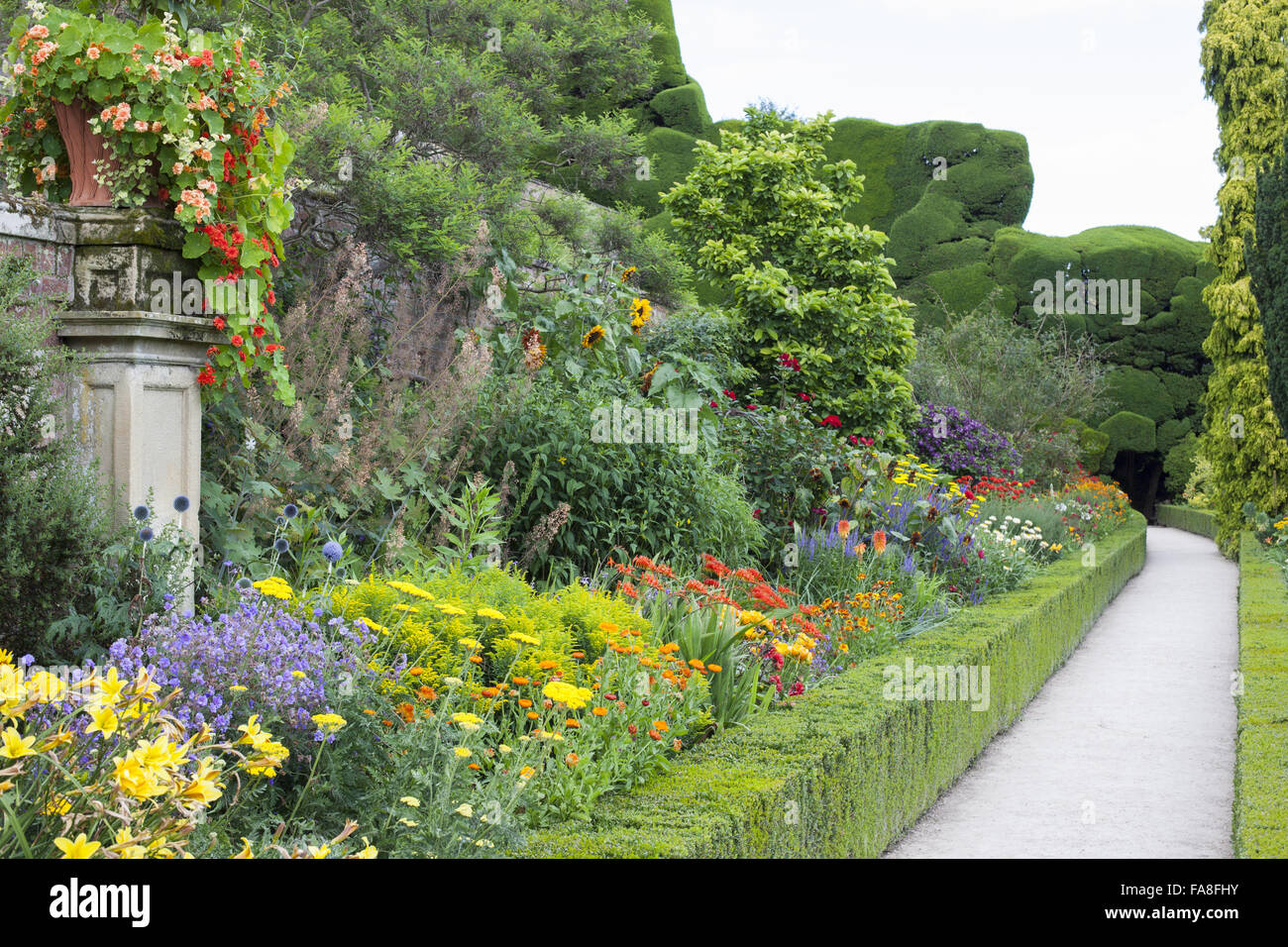 Borders on the Orangery Terrace in the garden in July at Powis Castle ...