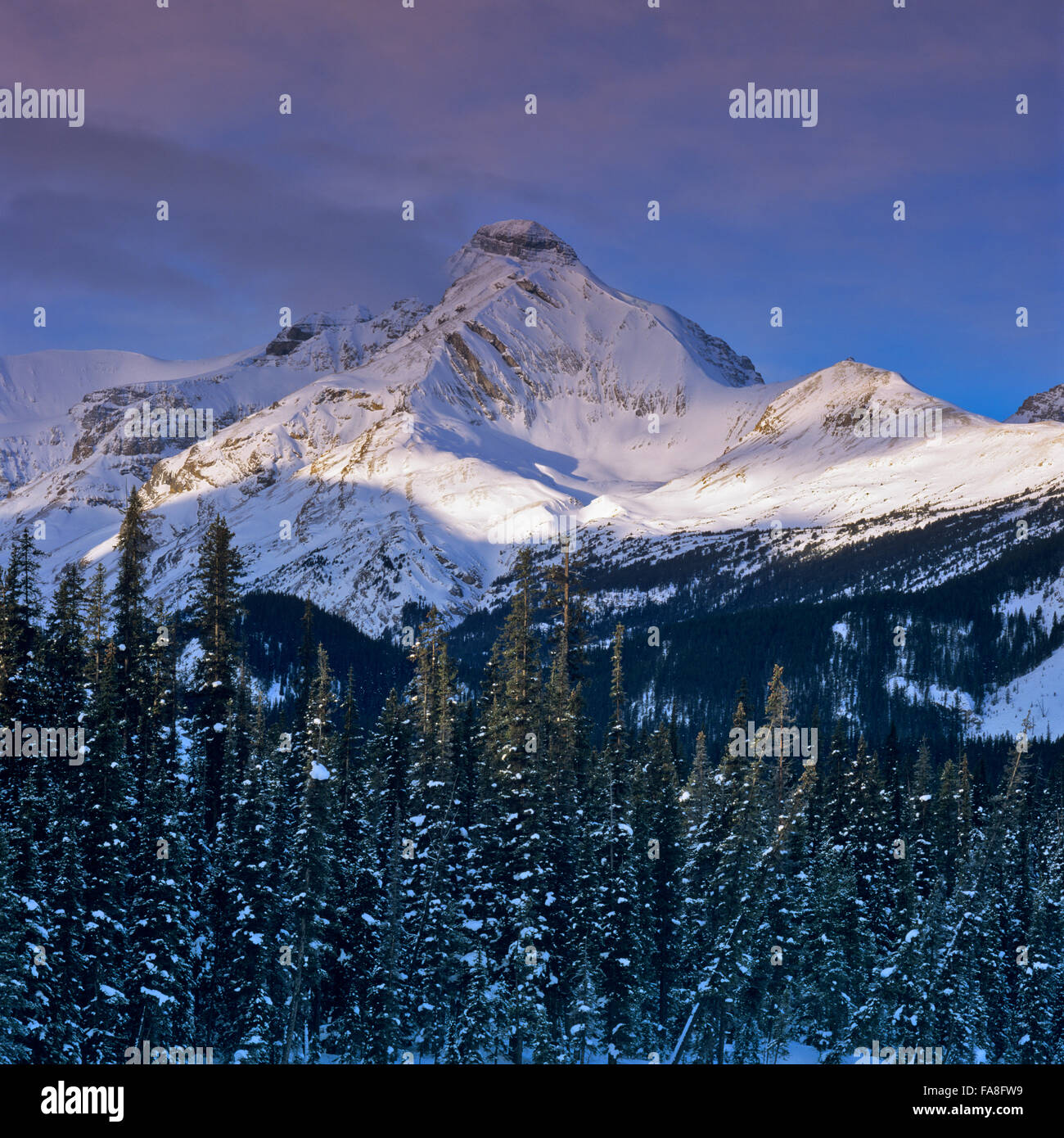 Mountain Range in winter in Jasper National Park Stock Photo - Alamy