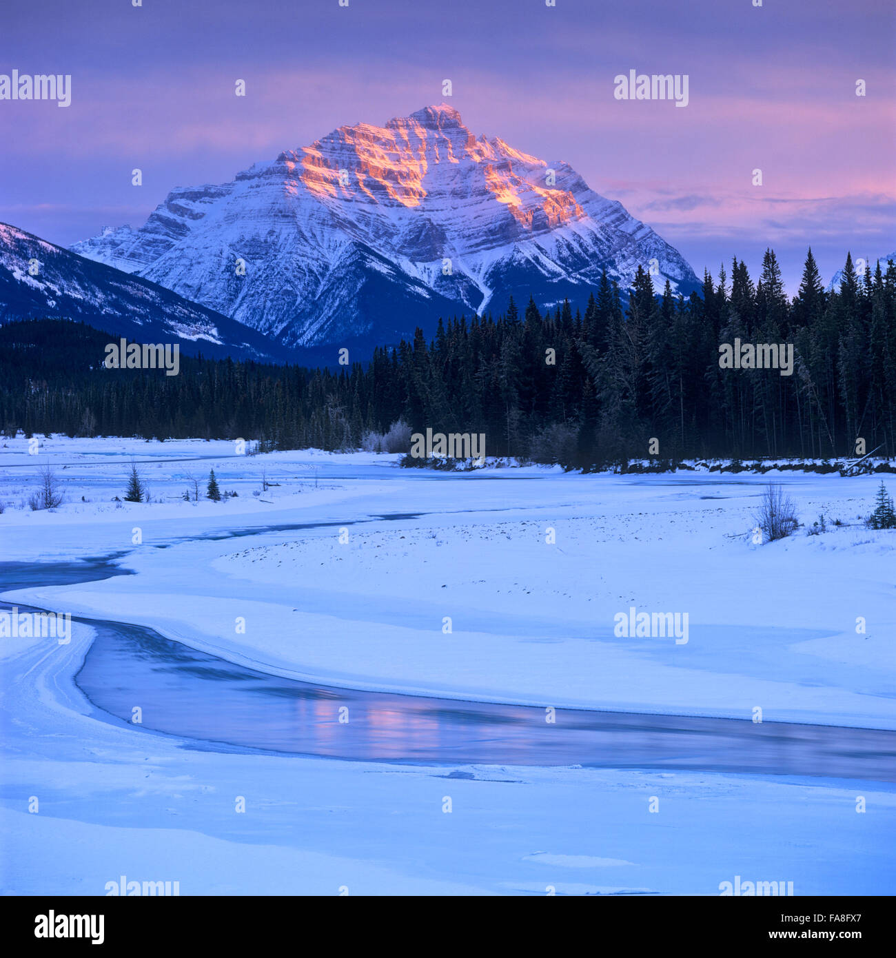 Mount Hardisty in winter in Banff National Park Stock Photo - Alamy