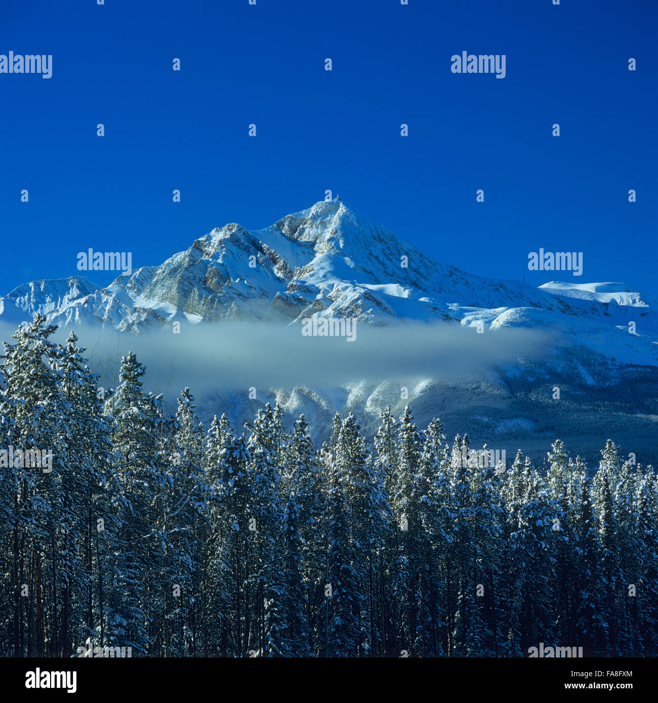 Pyramid mountain at sunrise in Jasper National Park Stock Photo - Alamy
