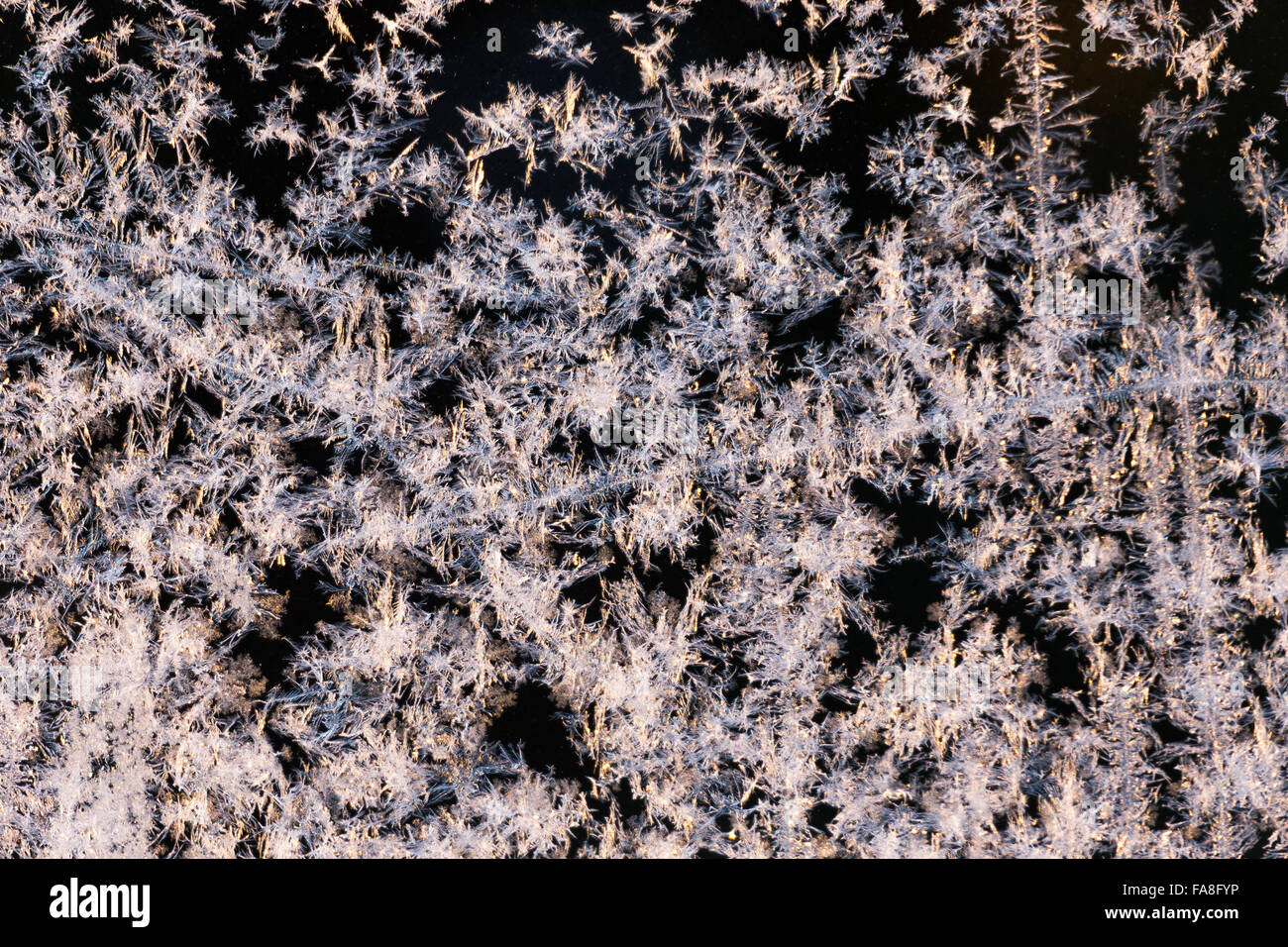 texture of patterns on frozen window glass Stock Photo - Alamy