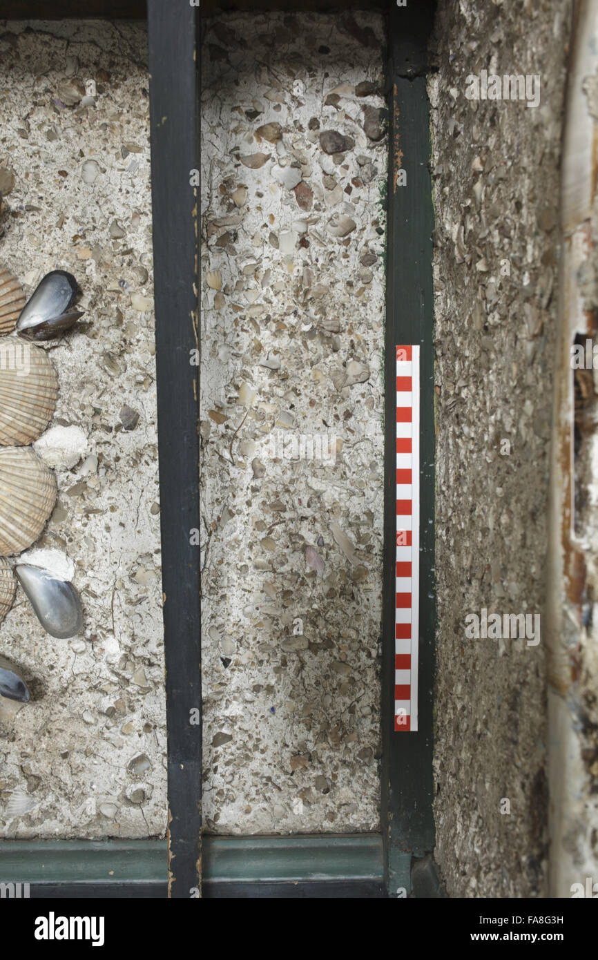 Detail of part of the decoration in bay four of the Shell Gallery at A ...