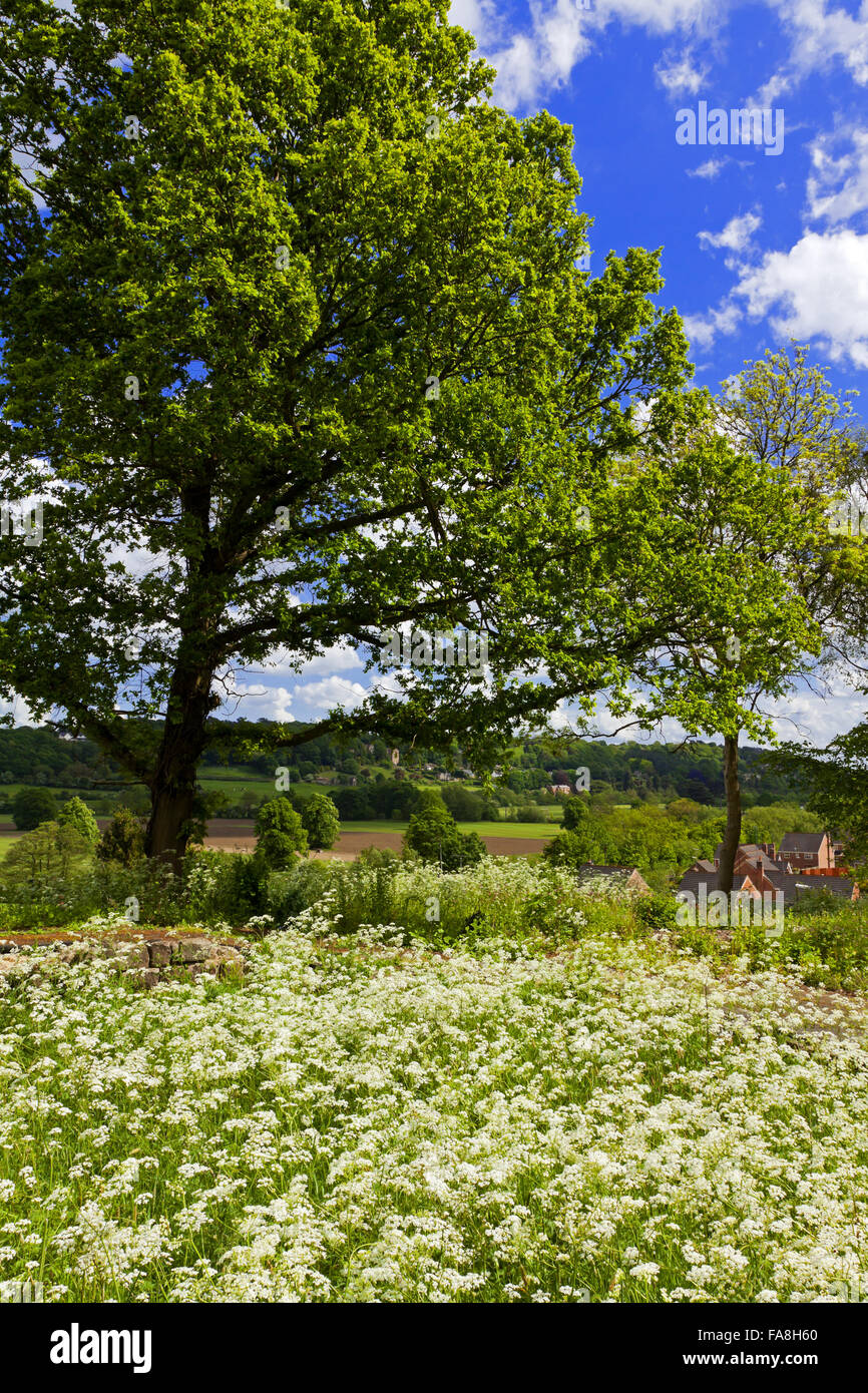 Duffield castle hi-res stock photography and images - Alamy