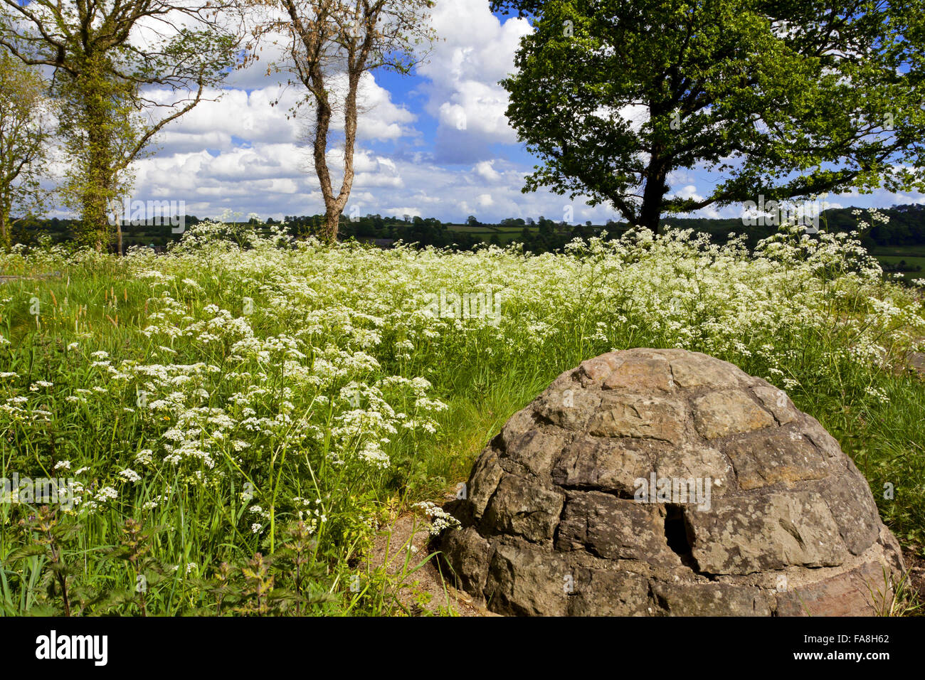 View looking north over the remains of Duffield Castle, Derbyshire ...