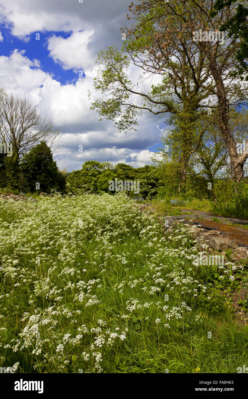 Duffield castle hi-res stock photography and images - Alamy