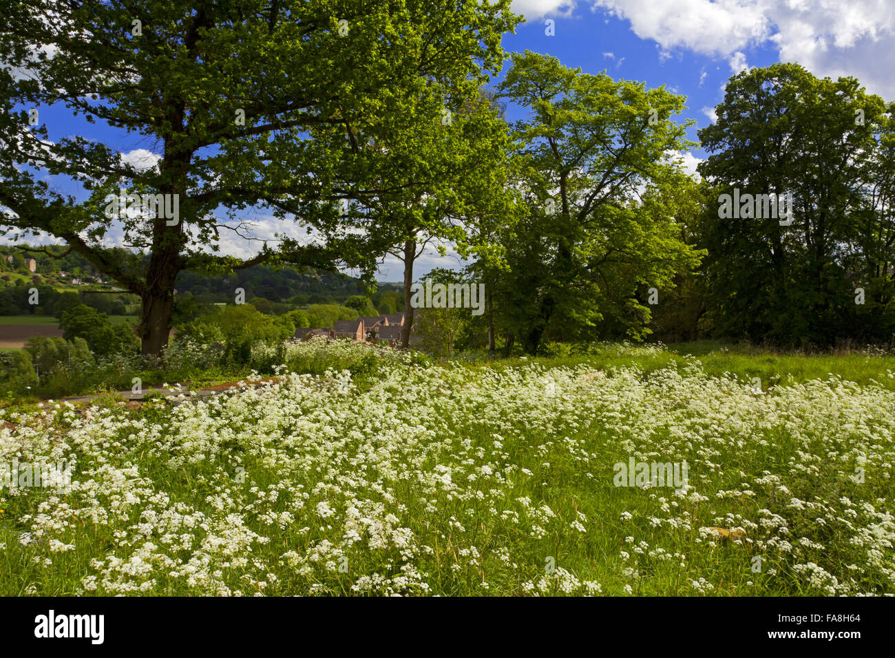 Duffield, derbyshire, england hi-res stock photography and images - Alamy