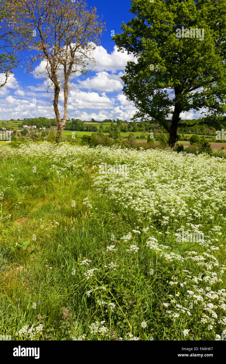 Duffield castle hi-res stock photography and images - Alamy