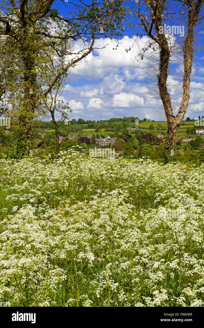 Duffield castle hi-res stock photography and images - Alamy