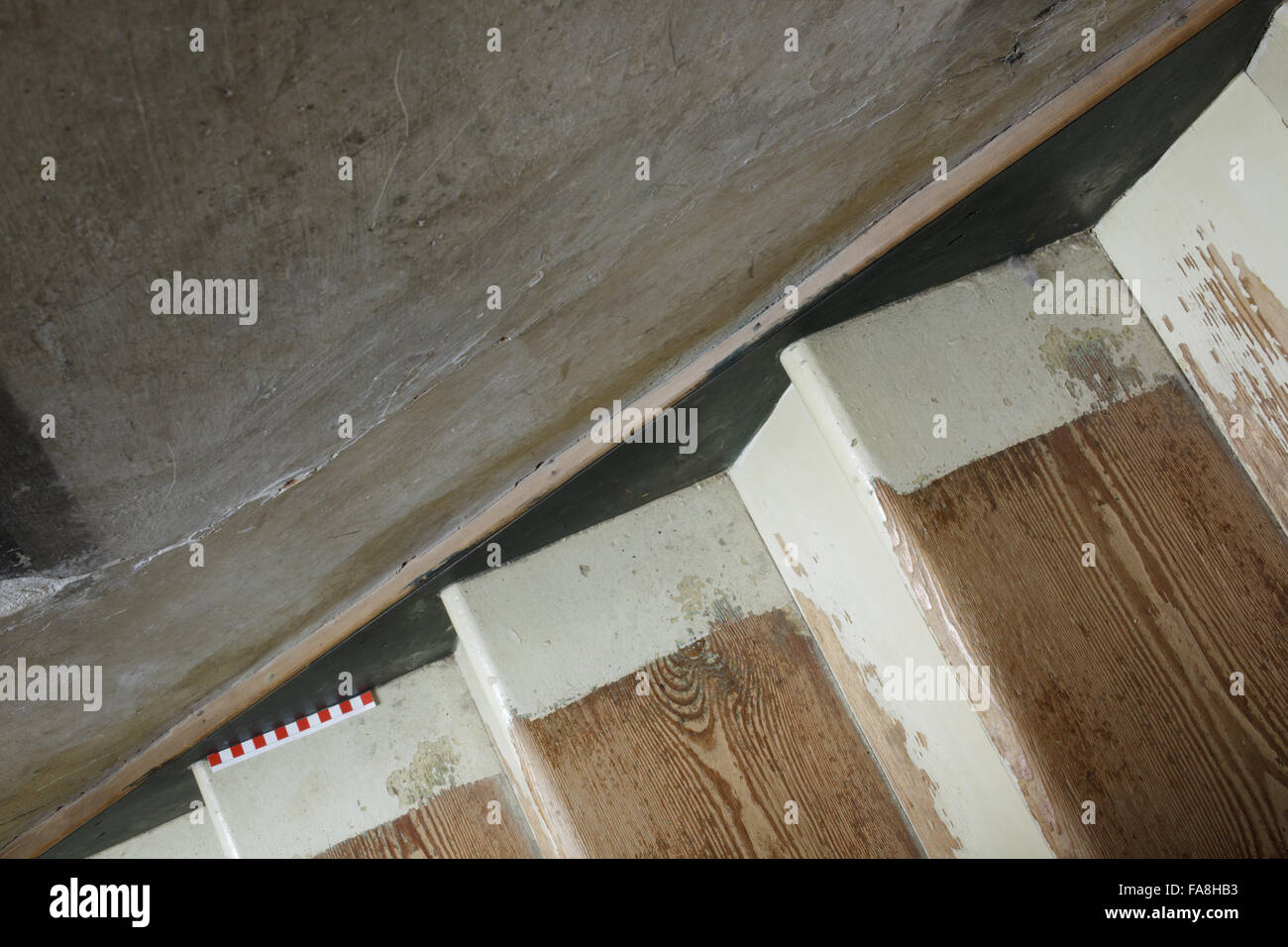 Detail of part of the decoration on the lower stairs of the Shell ...