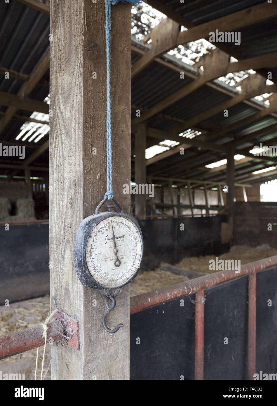 Farming scales hi-res stock photography and images - Alamy