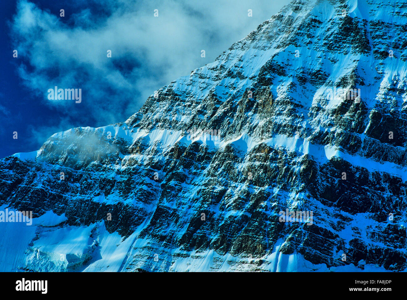 Mount Edith Cavell in Jasper National Park, Canada Stock Photo - Alamy