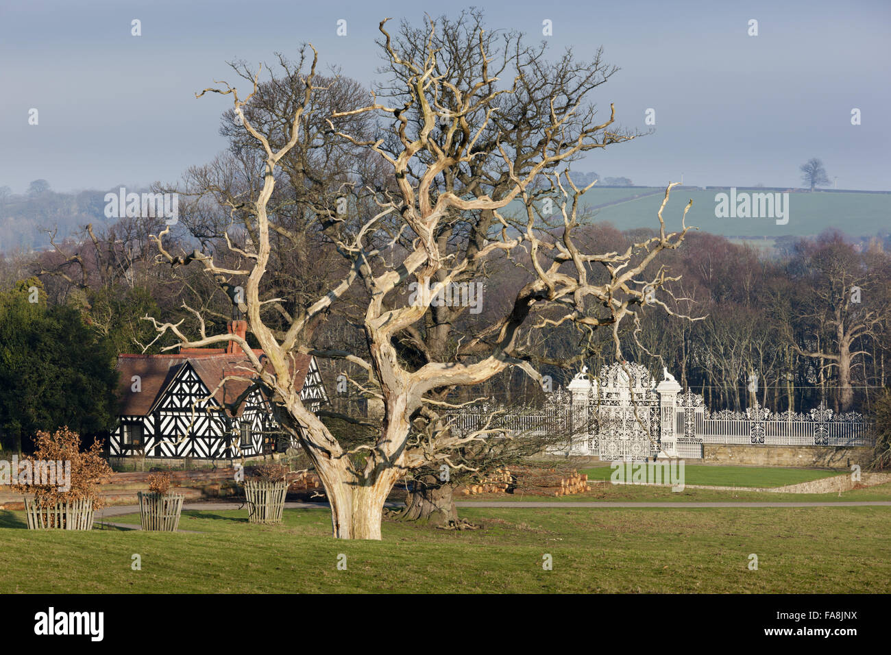 Chirk castle tree hi-res stock photography and images - Alamy